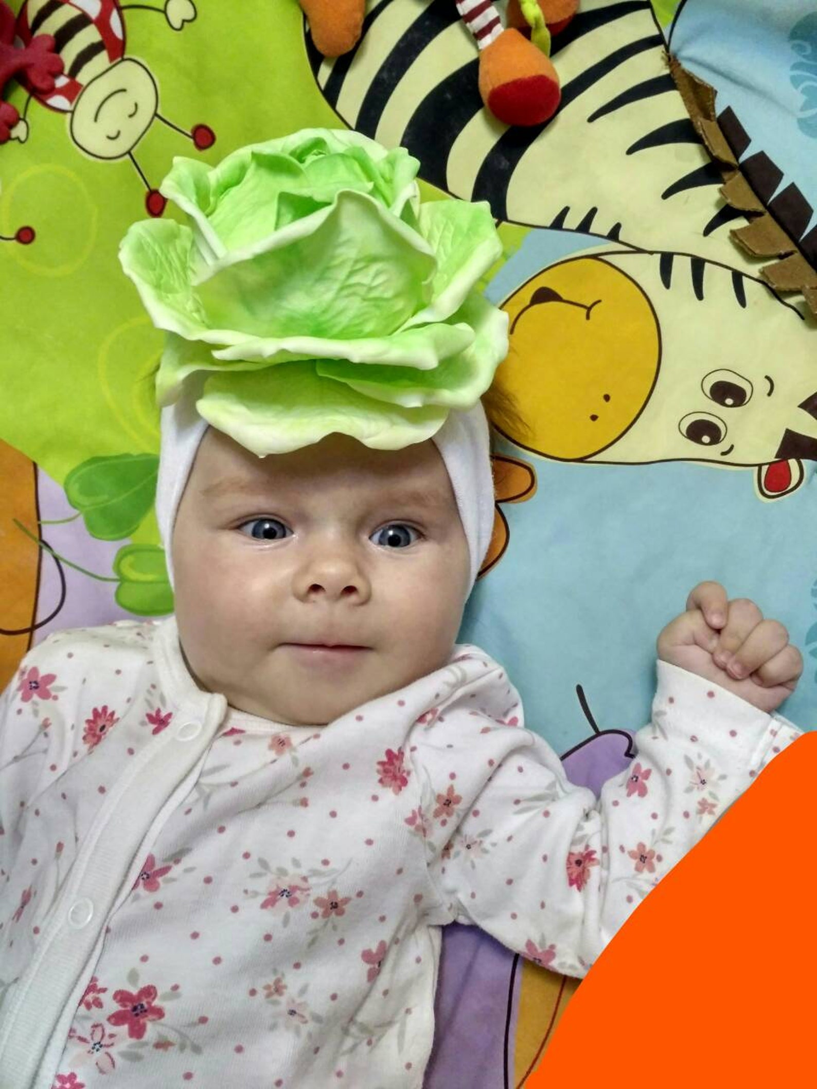 Green Cabbage Hair Costume Thanksgiving Harvest Headband | Etsy