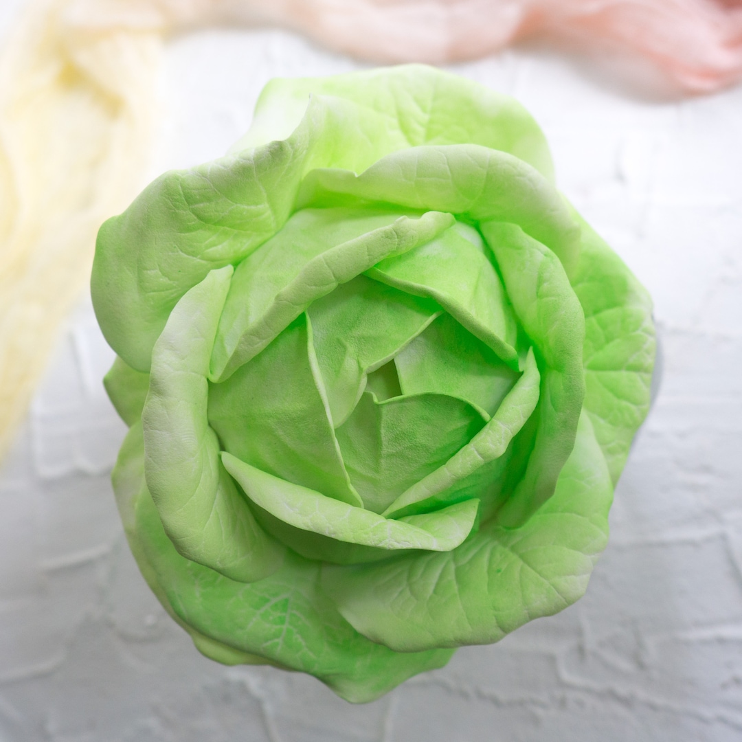 Vegetable Cabbage Hair Costume, Thanksgiving Harvest Green Headband ...