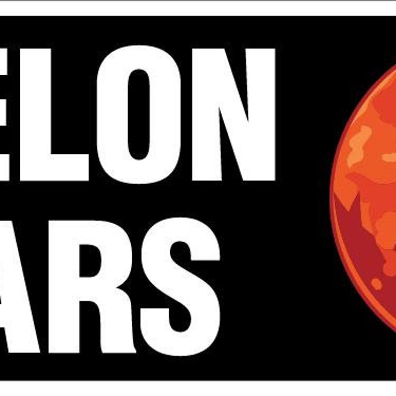 Elon Musk Bumper Stickers - Etsy