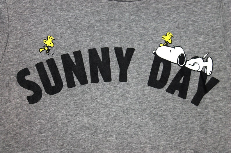 Vintage Peanuts Sunny Day Pullover Hoodie - Etsy