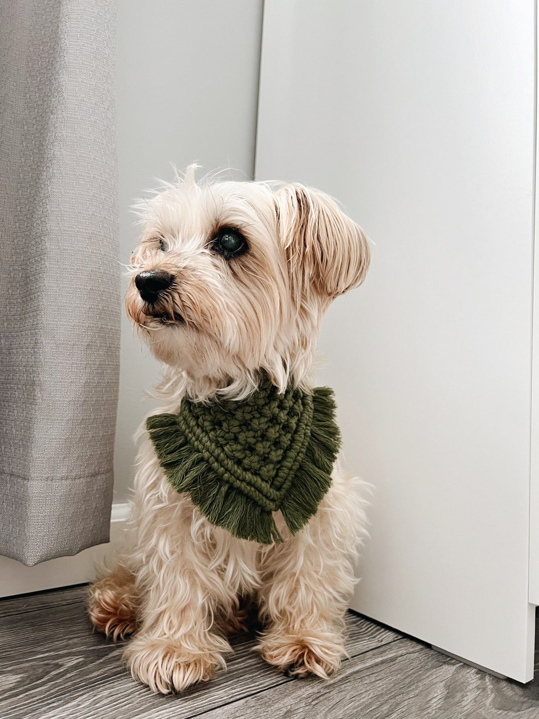 Macrame Dog Bandana / Small Dog Bandana / Large Dog Bandana / Custom ...