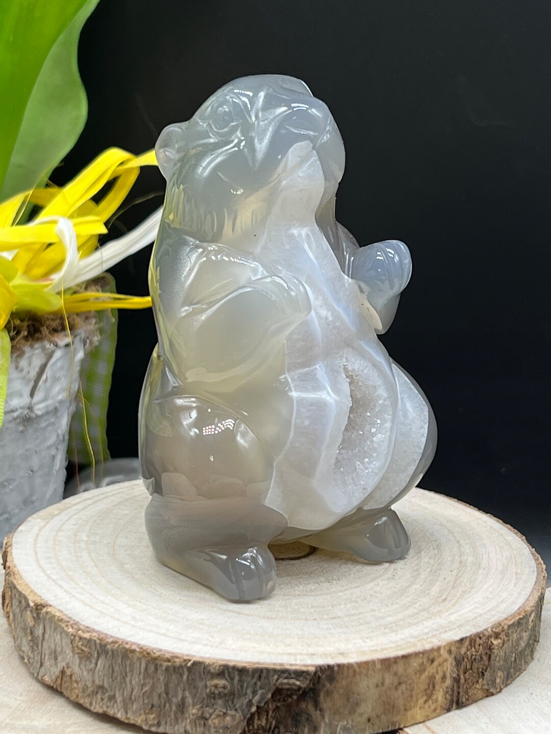 Sugar-sweet Crystal Marmot Made of Agate With Glittering Druse Opening ...