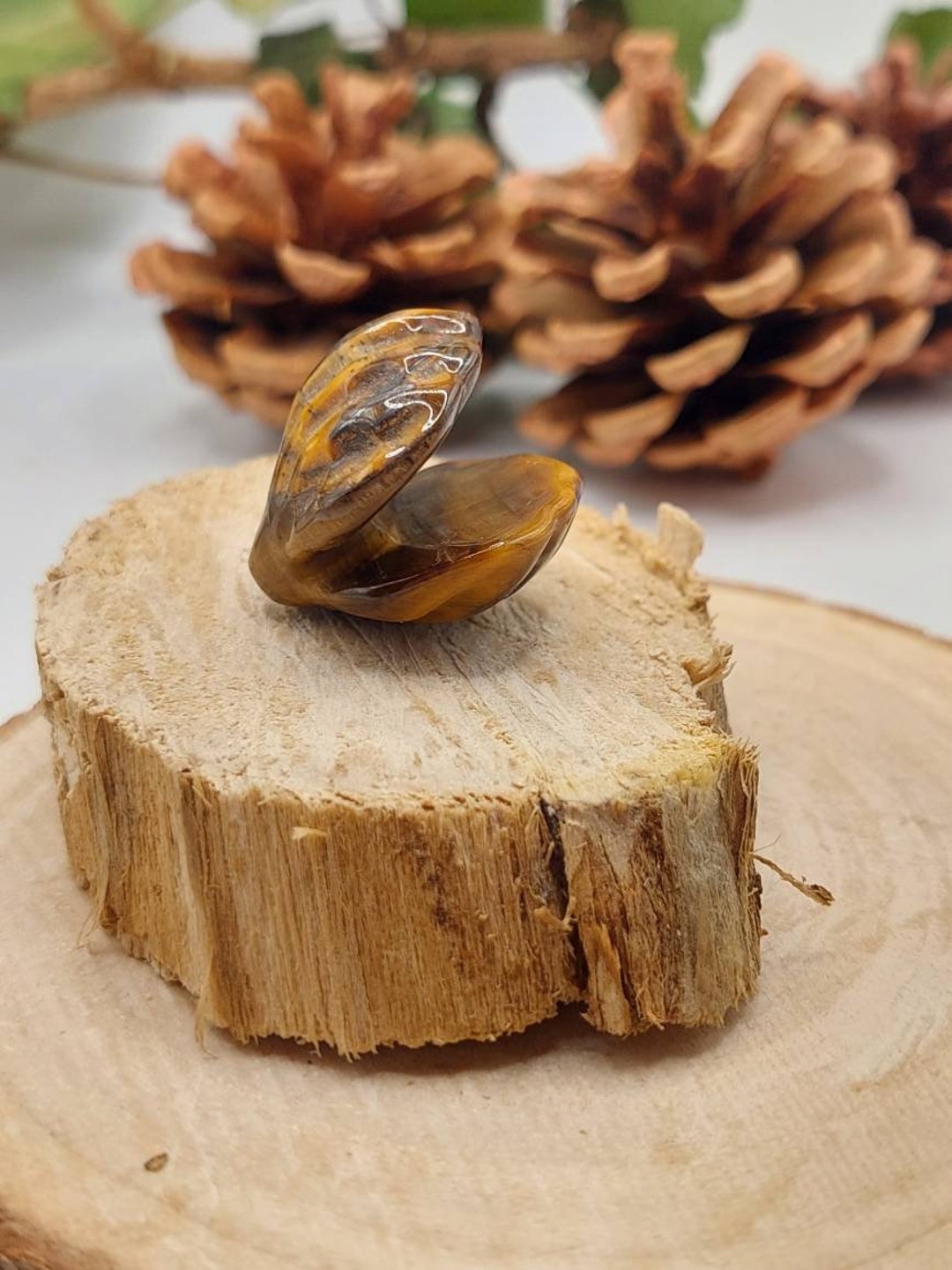 Beautiful Small Tiger Eye Crystal Shell Gemstone Shell Tigers Eye ...