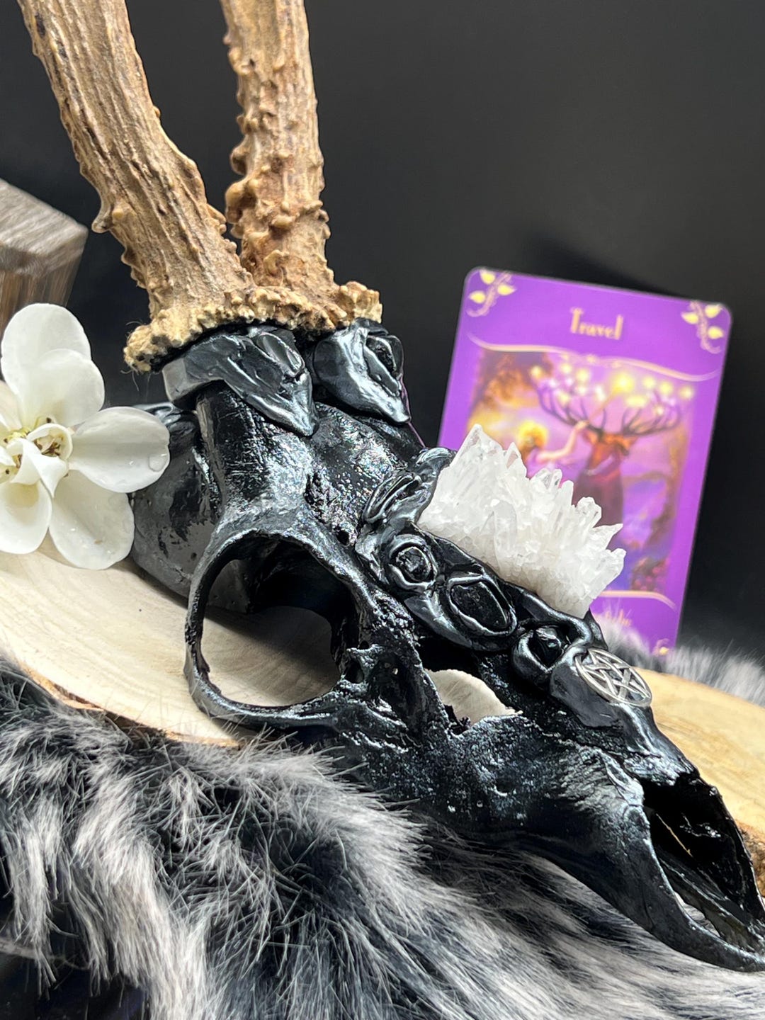 Deer Skull "equilibrium" With Rock Crystal Step and Obsidian - Antler ...