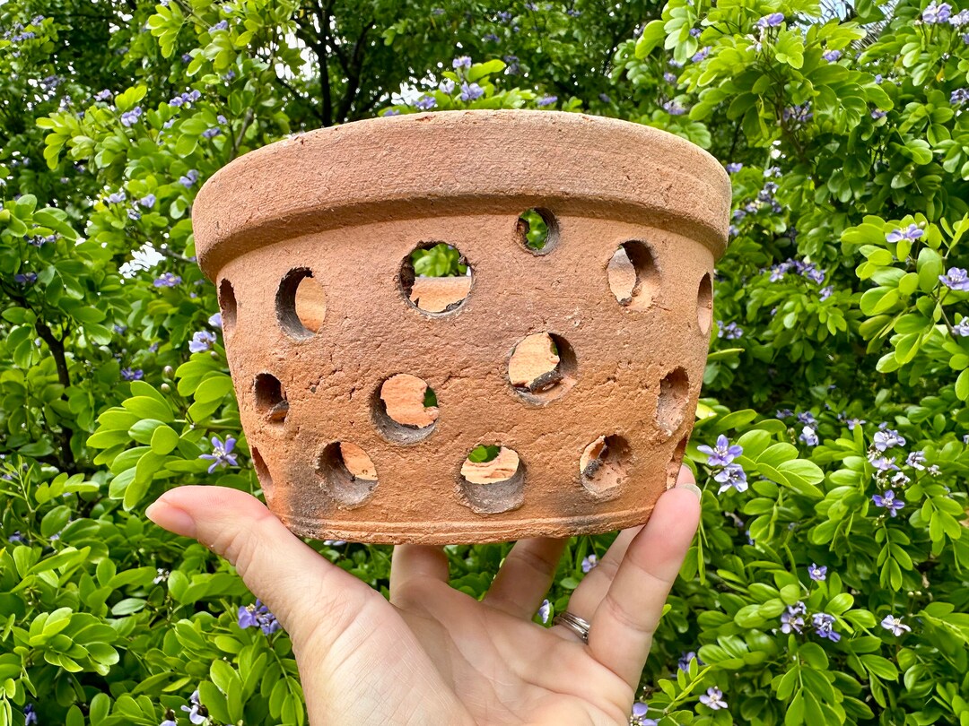 Orchid Clay Pot With Holes, No Hanger. Handmade. Aprox. 6 Outside ...