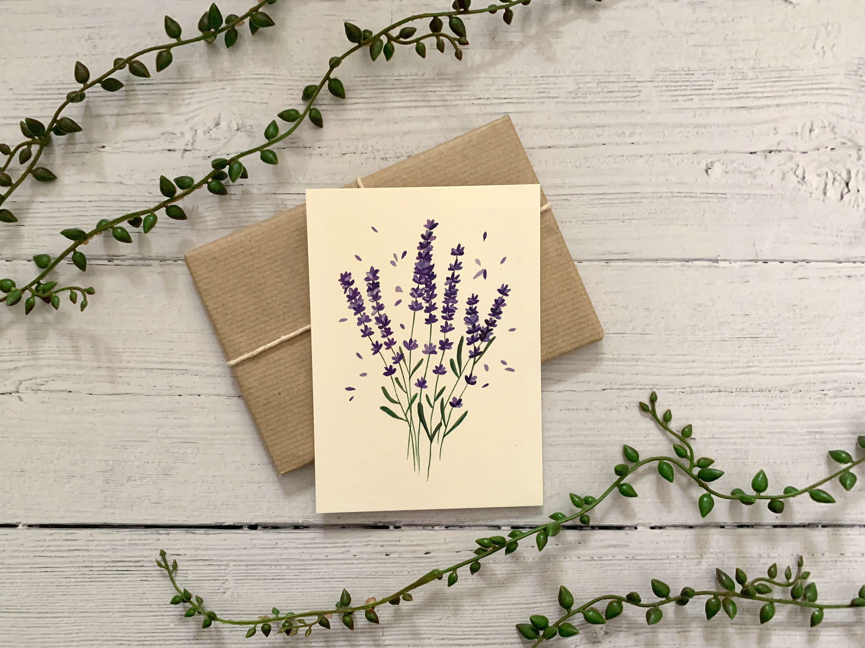 Lavender Postcard Purple Flower Nature Illustrated | Etsy