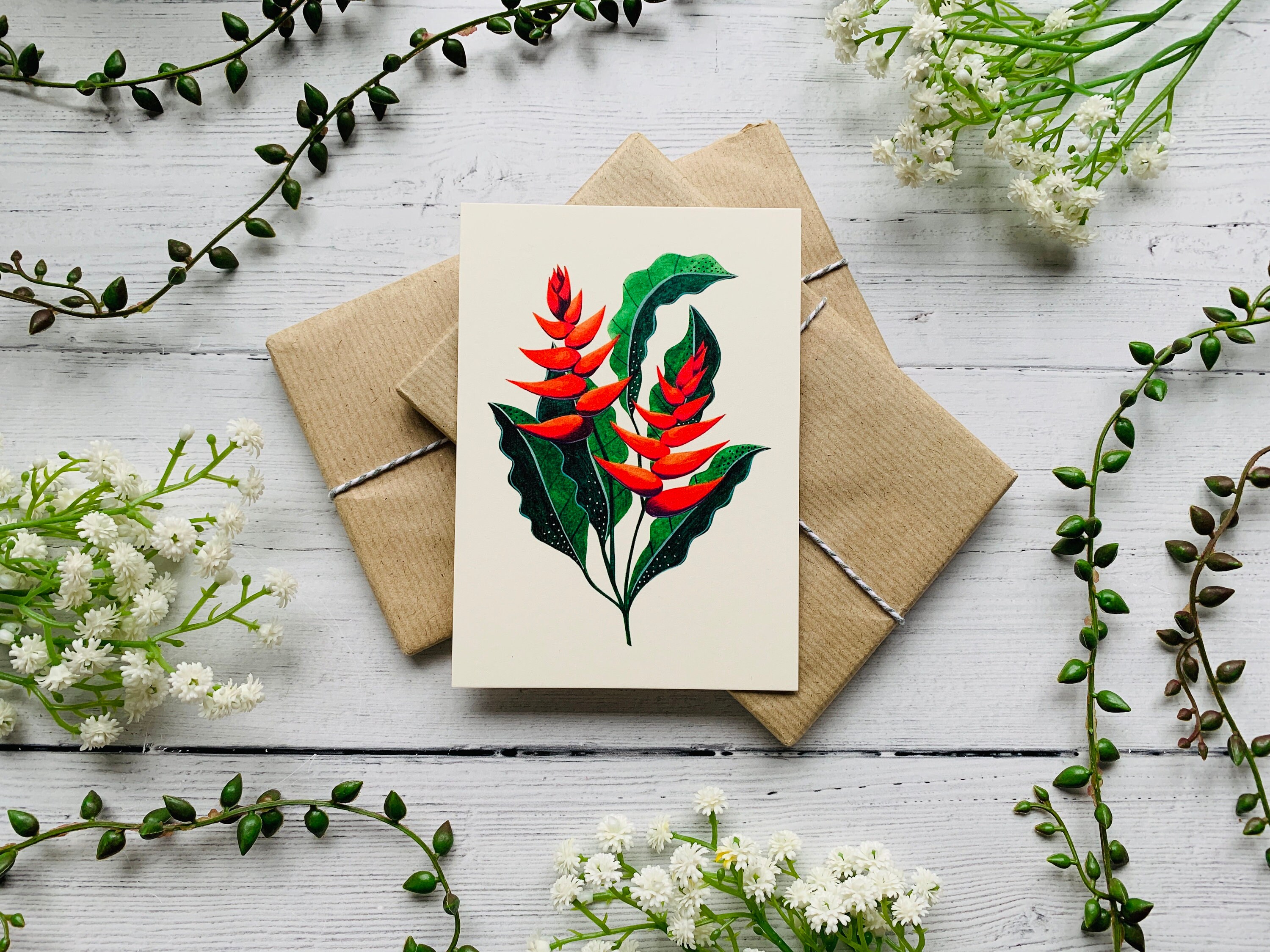 Set of 6 Tropical Botanical Postcards Rainforest Flowers and | Etsy