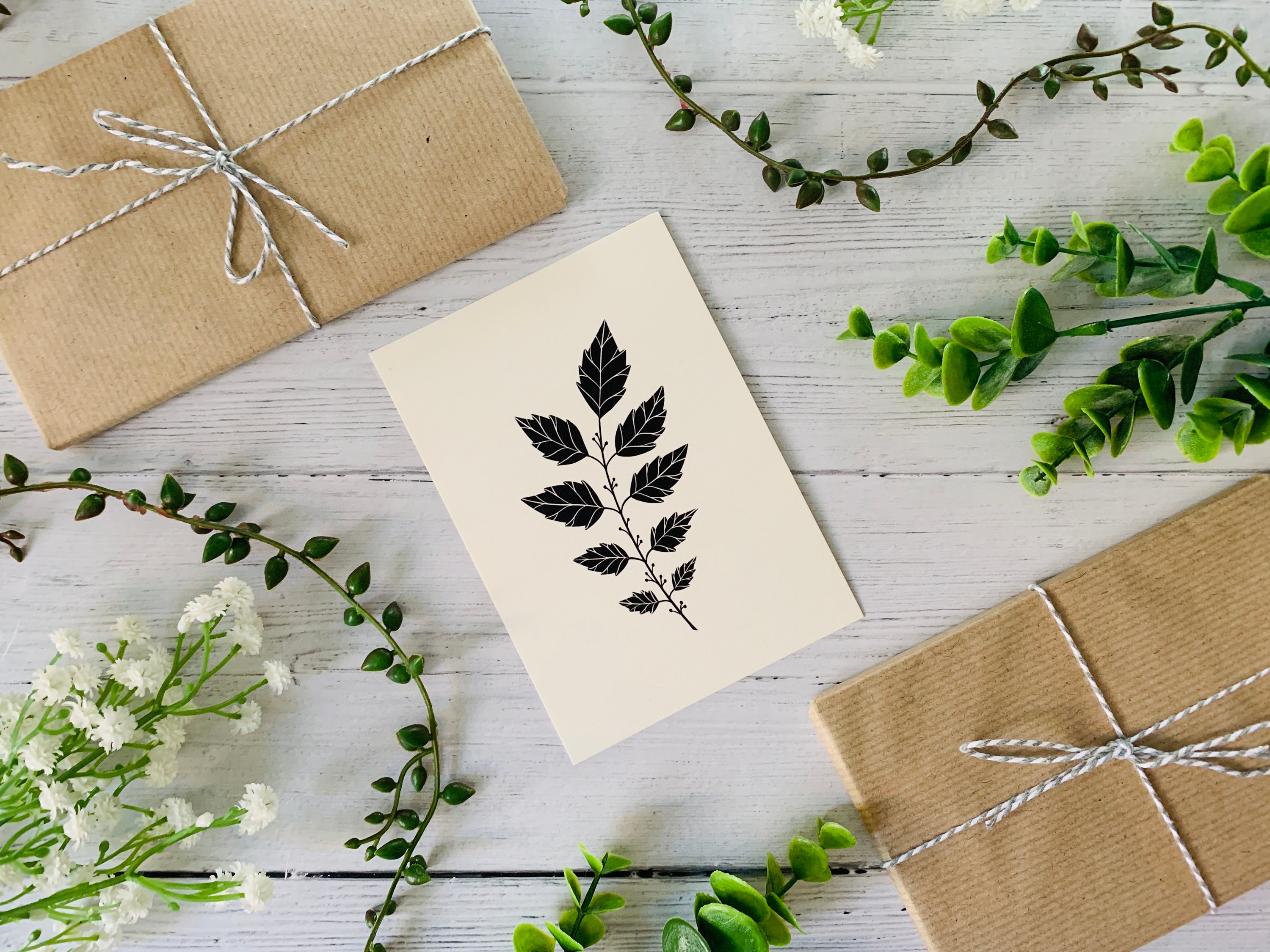 Simple Leaf Postcard Modern Black and White Monochrome | Etsy