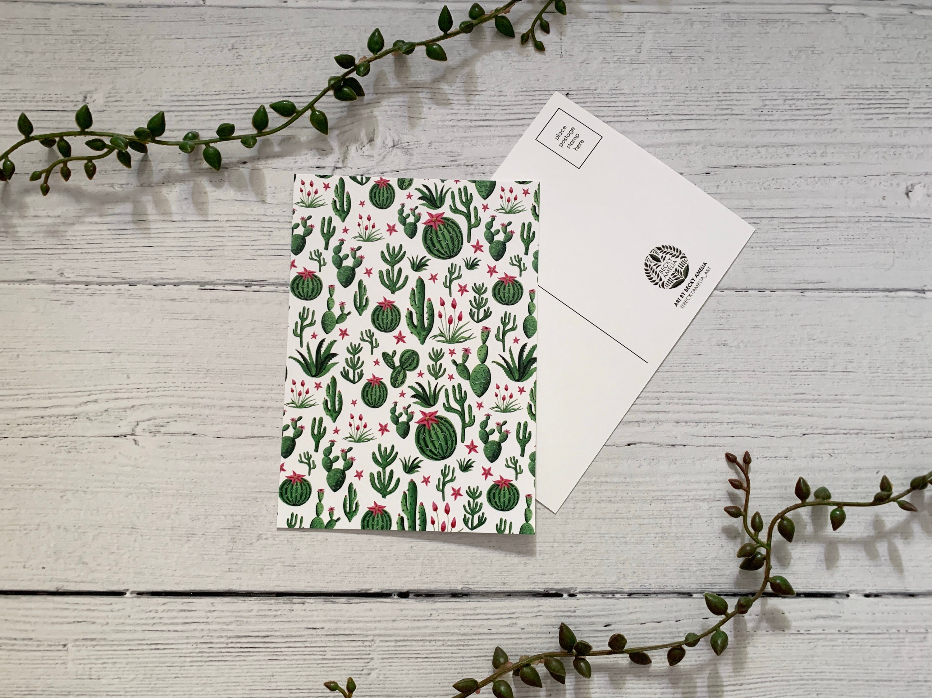 Cactus Botanical Postcard Illustrated Desert Plants A6 Art | Etsy