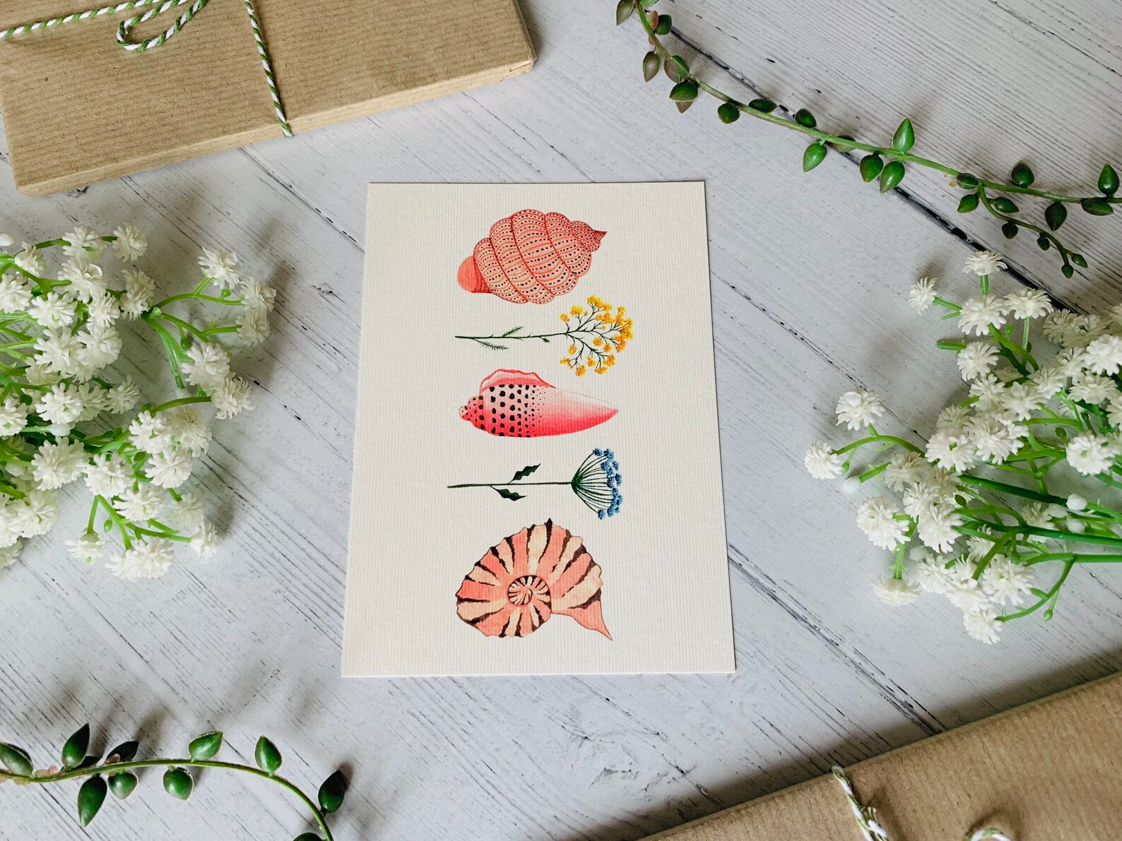 Coastal Shells Art Postcard Seashells and Wildflowers - Etsy