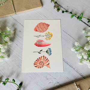 Coastal Shells Art Postcard - Seashells and Wildflowers - Nature ...