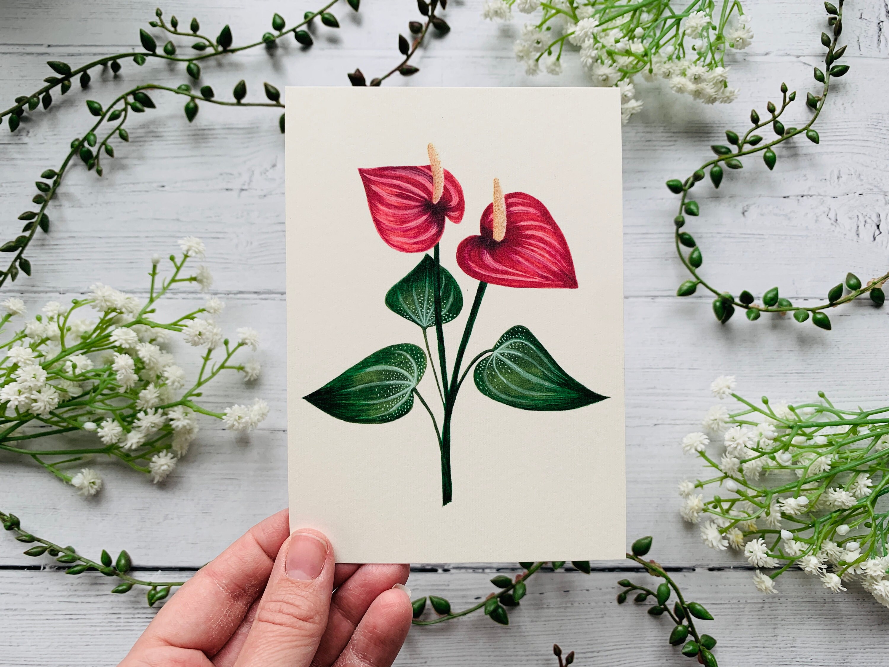 Set of 6 Tropical Botanical Postcards Rainforest Flowers and | Etsy