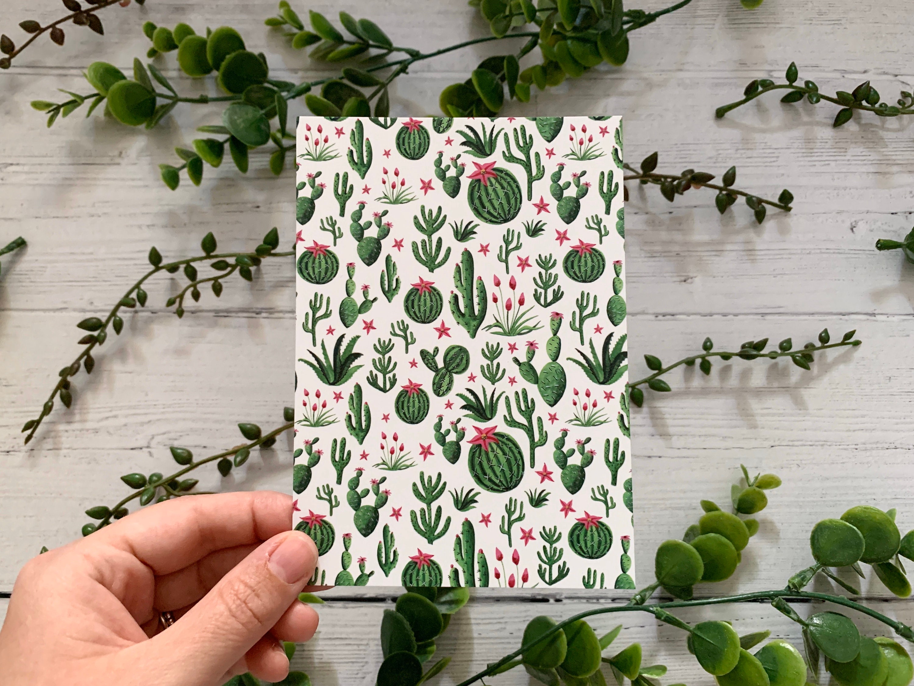 Cactus Botanical Postcard Illustrated Desert Plants A6 Art | Etsy