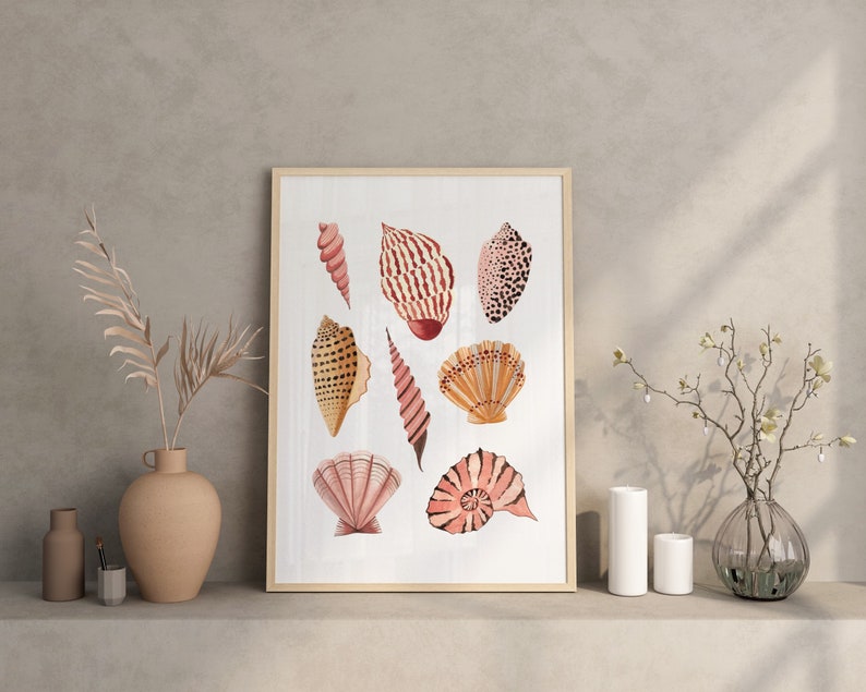 Seashells Art Print Coastal Beach Sea Shells Poster - Etsy UK