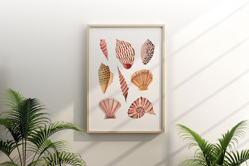 Seashells Art Print Coastal Beach Sea Shells Poster - Etsy UK