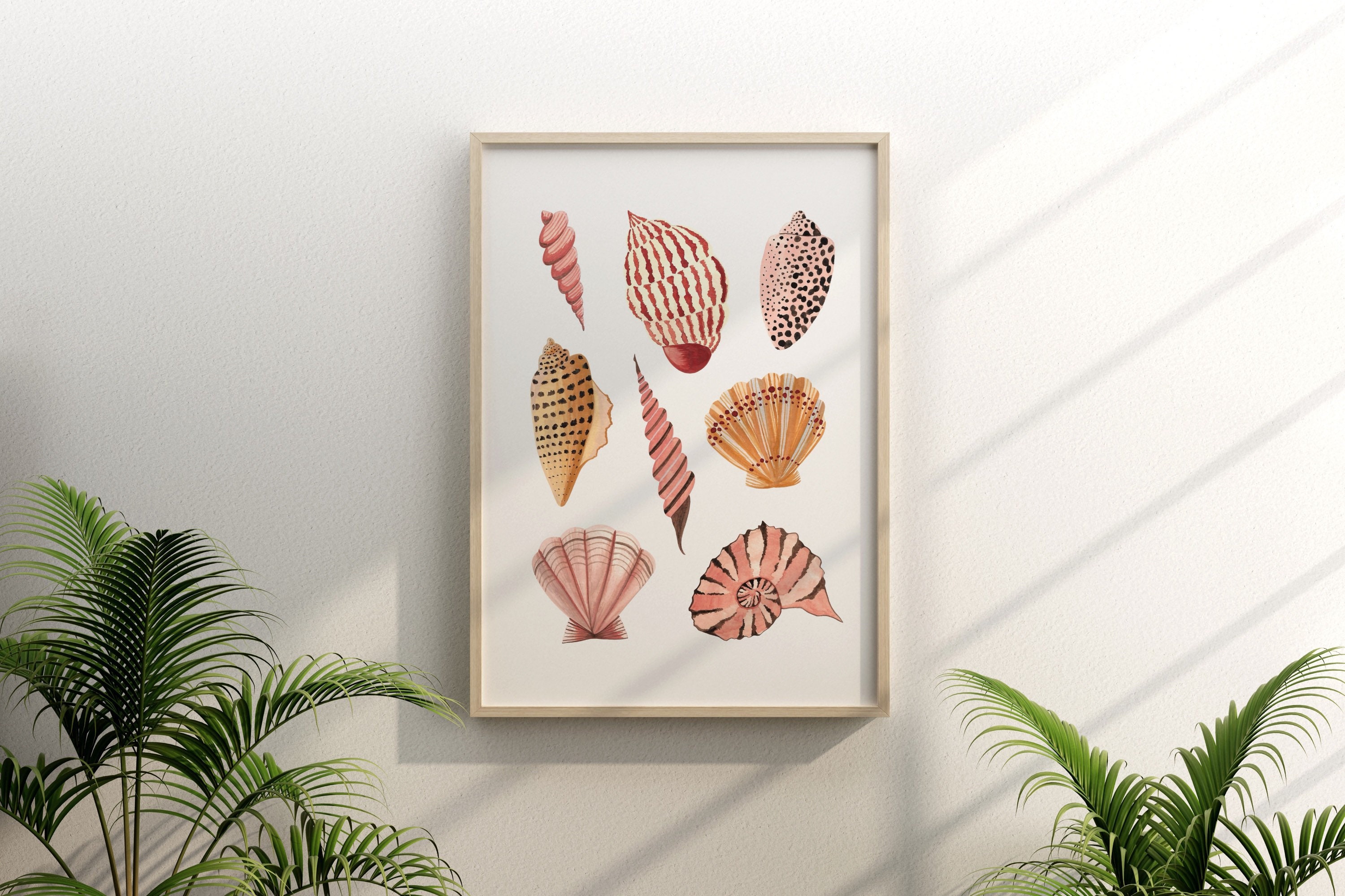 Seashells Art Print Coastal Beach Sea Shells Poster - Etsy UK