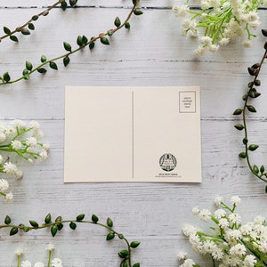 Moon Phases Postcard - Moon and Stars - Blue Floral Nature Illustrated ...