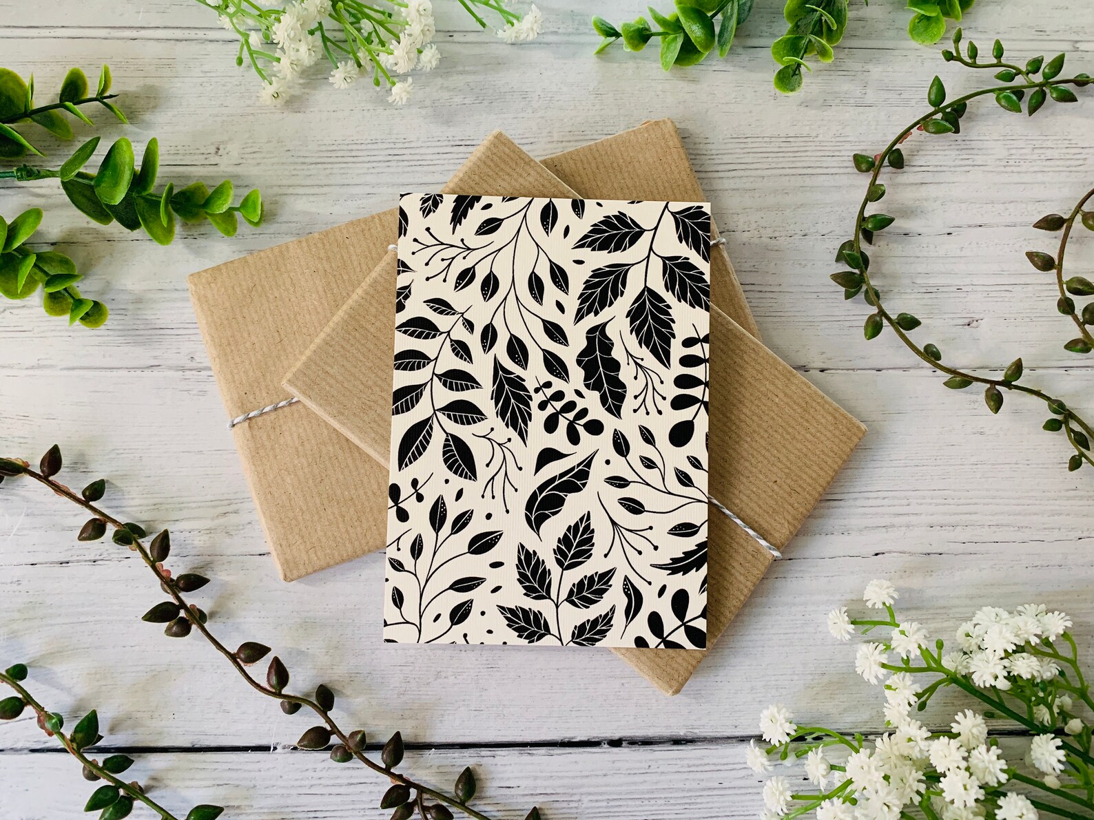 Monochrome Postcard Set of 6 - Black and White - Flowers Leaves ...