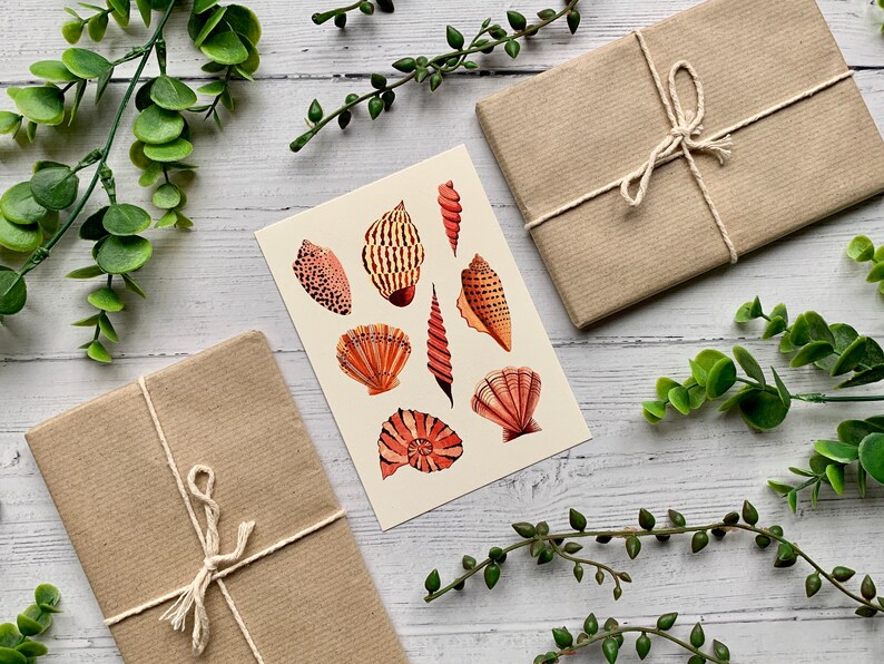 Seashells Art Postcard Coastal Shells Illustration Nature | Etsy