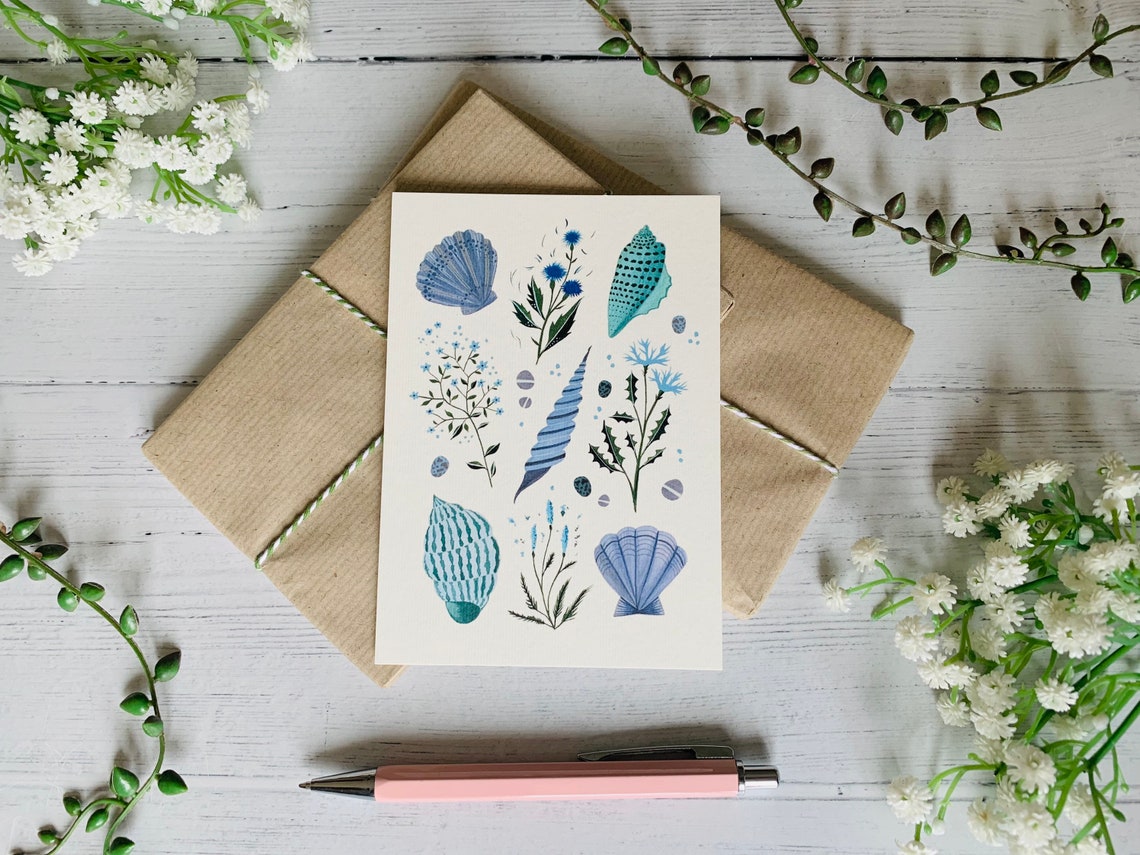 Seashells & Flowers Postcard Set of 6 Coastal Wildflower - Etsy