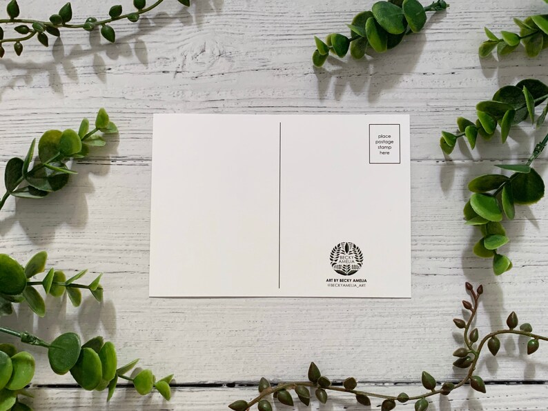 Cactus Botanical Postcard Illustrated Desert Plants A6 Art | Etsy