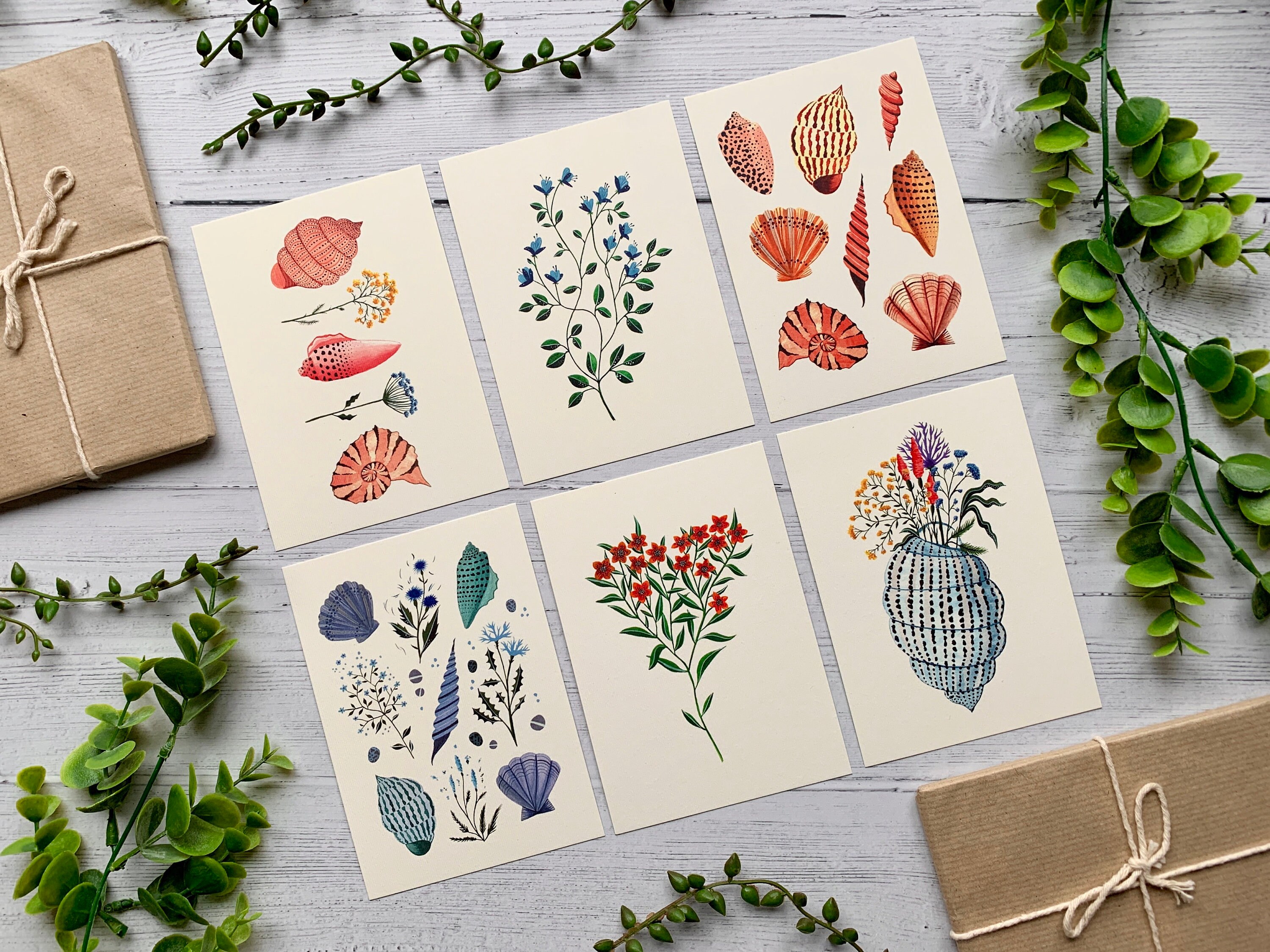 Seashells Art Postcard Coastal Shells Illustration Nature | Etsy