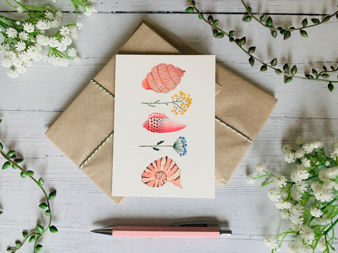 Coastal Shells Art Postcard Seashells and Wildflowers - Etsy