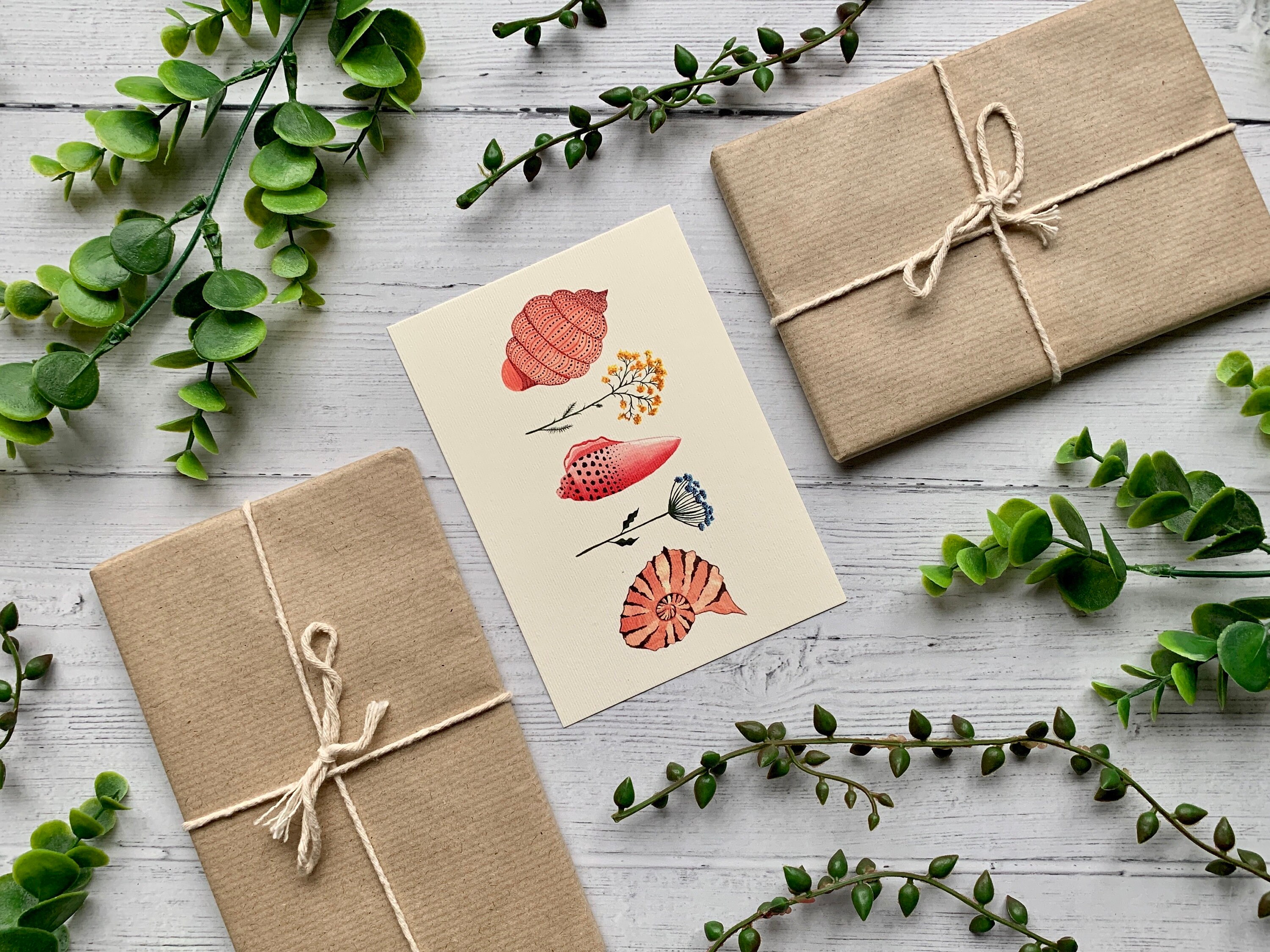 Coastal Shells Art Postcard Seashells and Wildflowers | Etsy