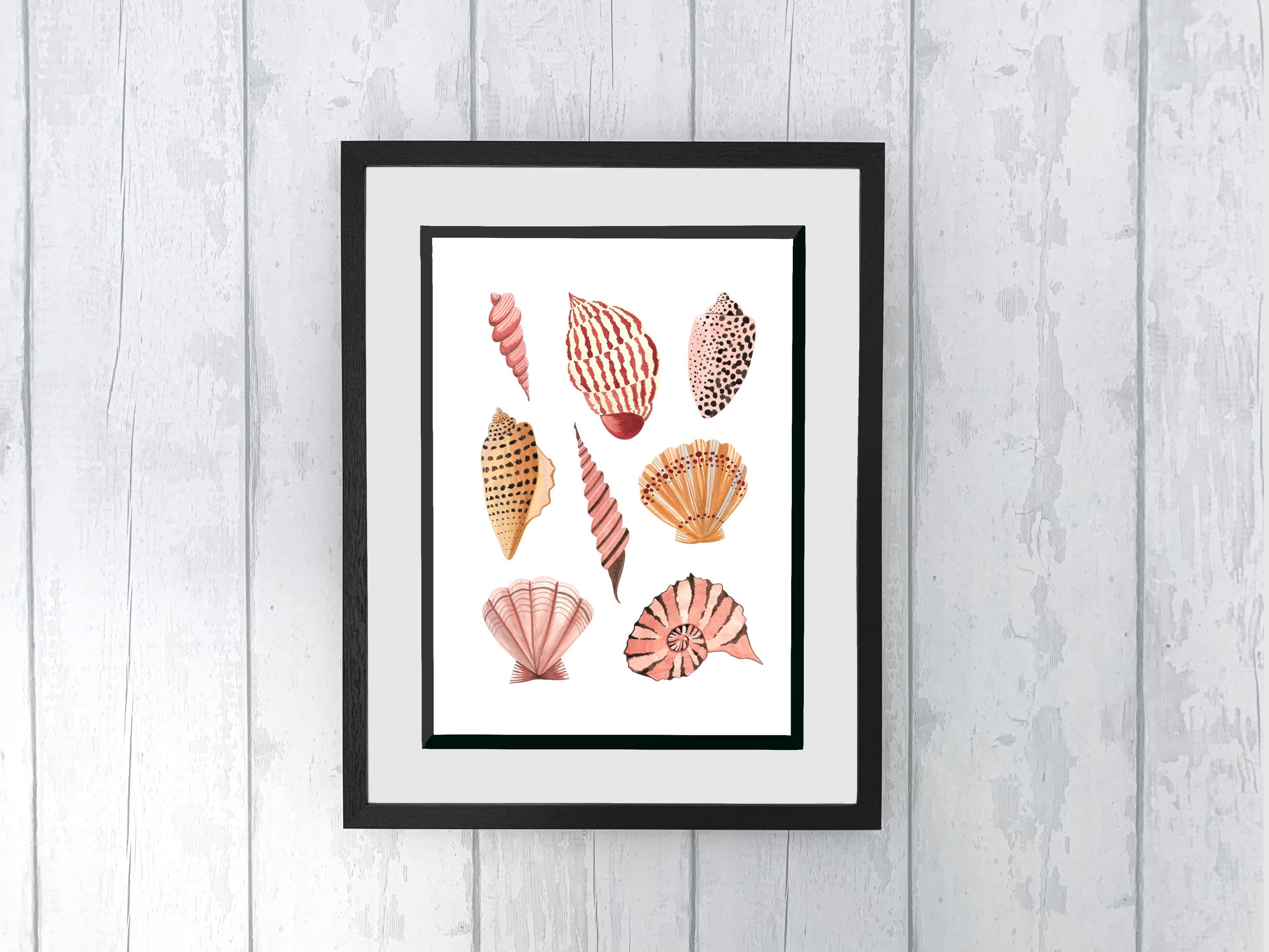 Seashells Art Print Coastal Beach Sea Shells Poster - Etsy UK