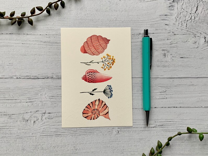 Coastal Shells Art Postcard Seashells and Wildflowers | Etsy