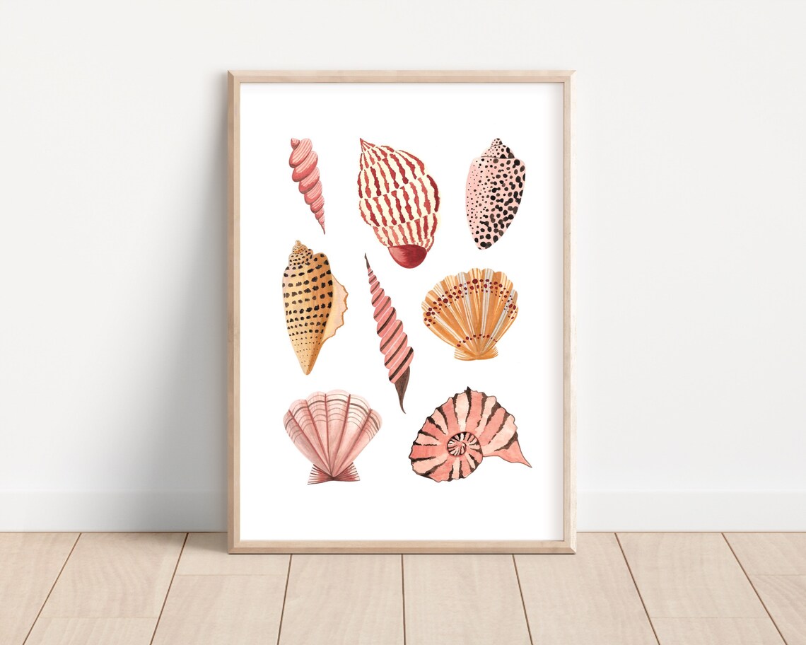 Seashells Art Print Coastal Beach Sea Shells Poster - Etsy UK