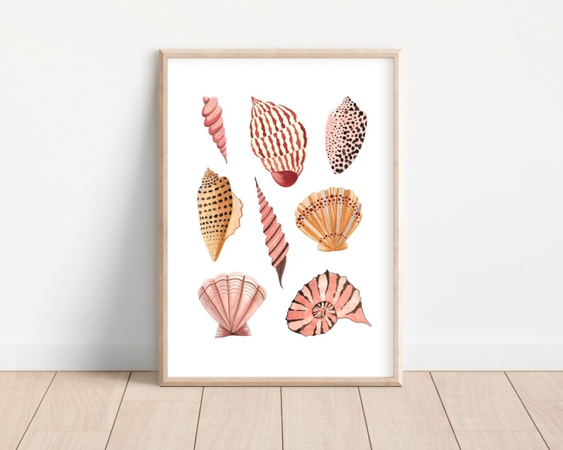 Seashells Art Print Coastal Beach Sea Shells Poster - Etsy UK