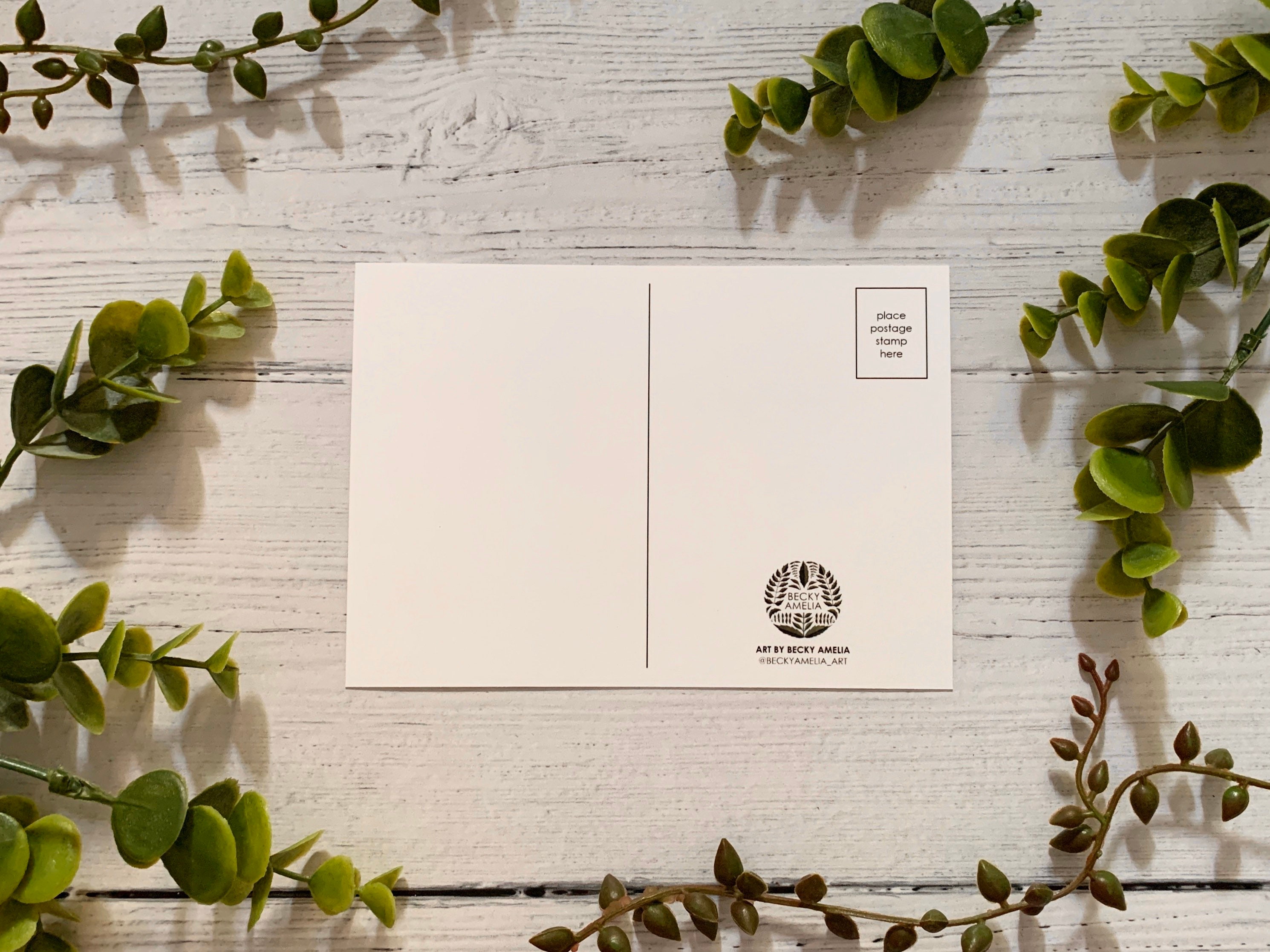 Seashells Art Postcard Coastal Shells Illustration Nature | Etsy