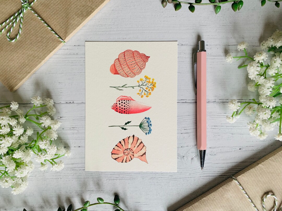 Coastal Shells Art Postcard - Seashells and Wildflowers - Nature ...