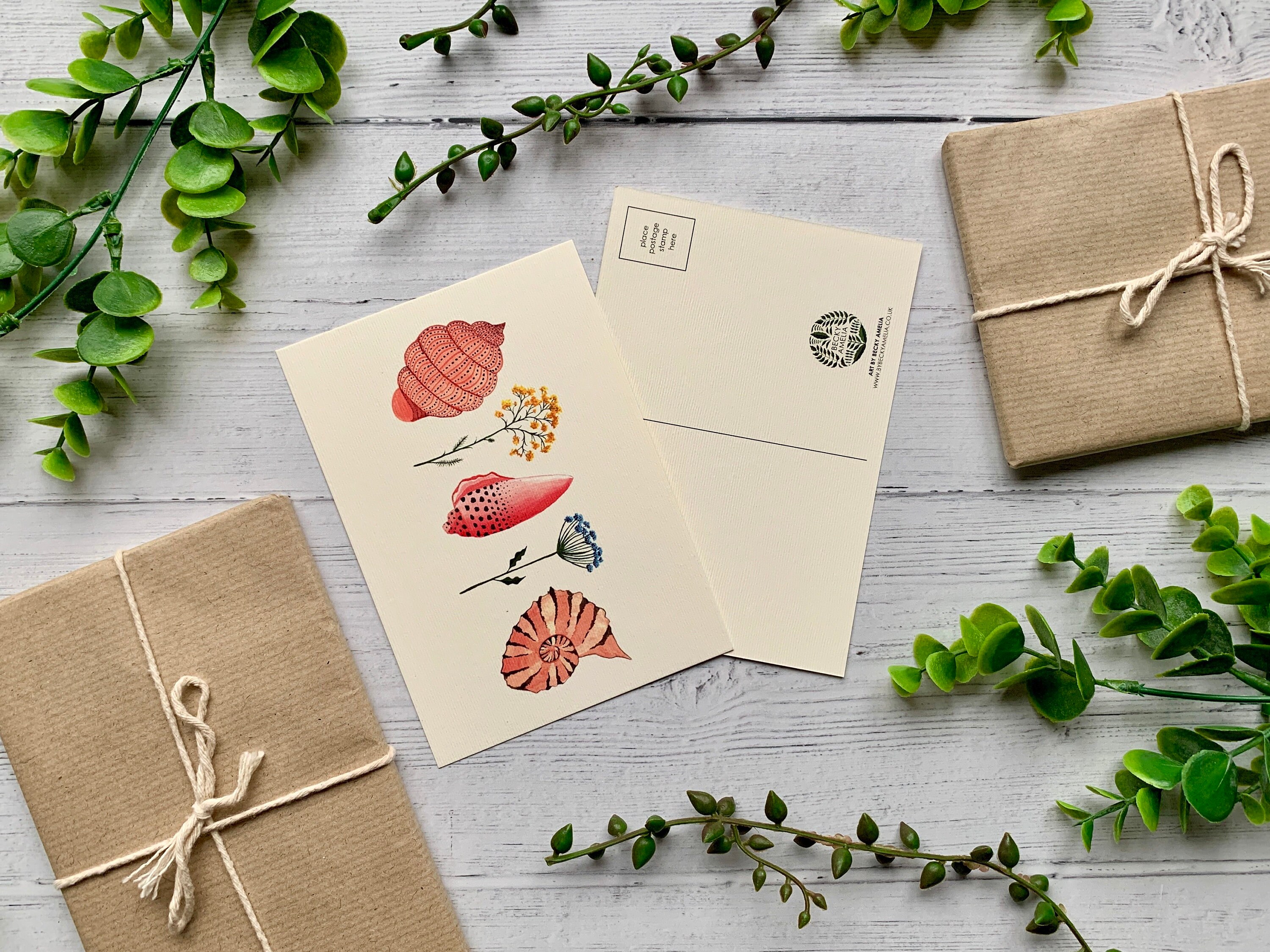 Coastal Shells Art Postcard Seashells and Wildflowers | Etsy