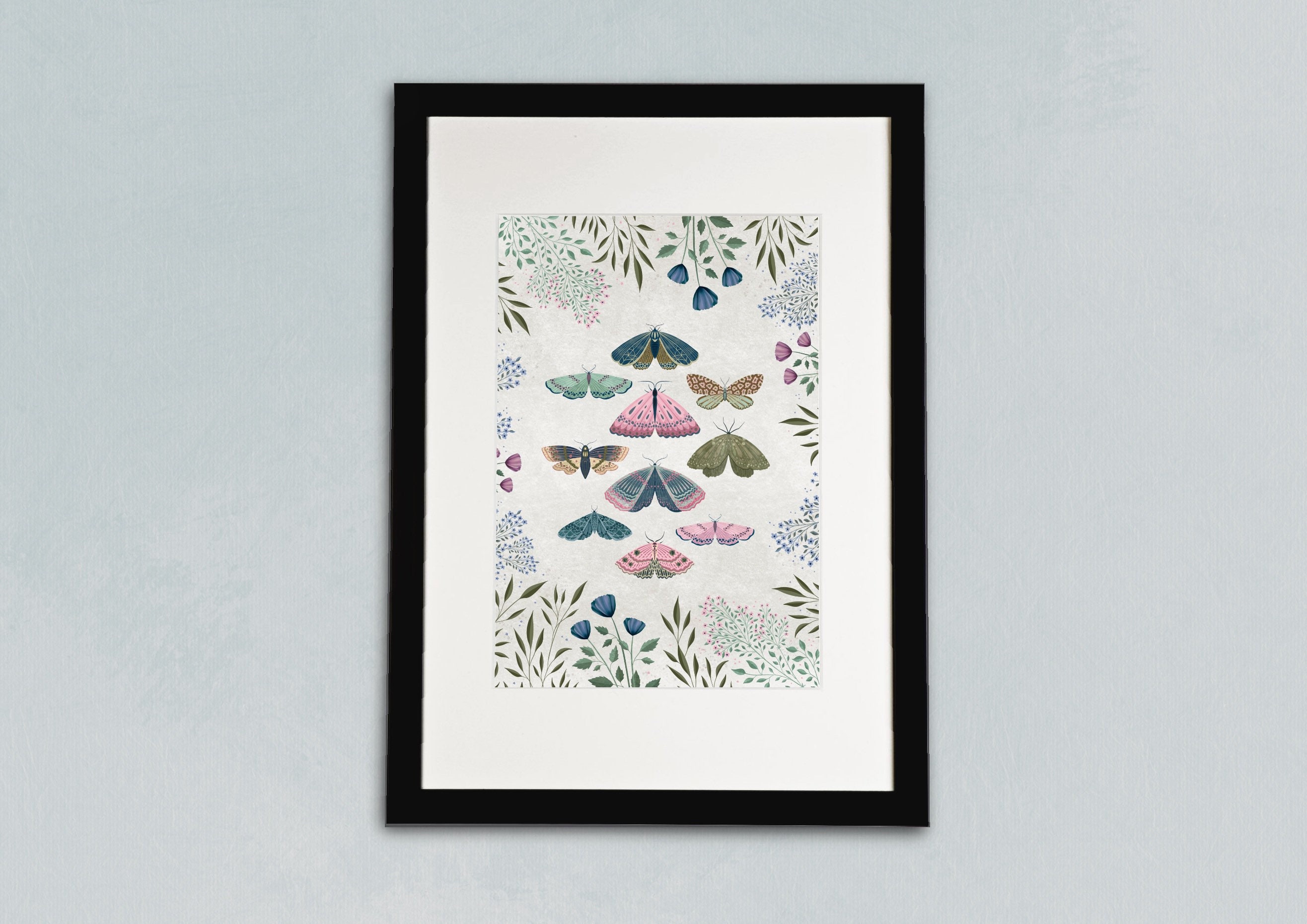 Delicate Moths Art Print Natural History Illustration Poster - Etsy