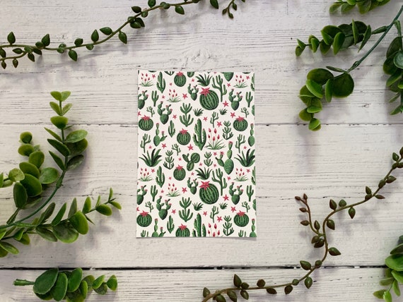 Cactus Botanical Postcard Illustrated Desert Plants A6 Art | Etsy
