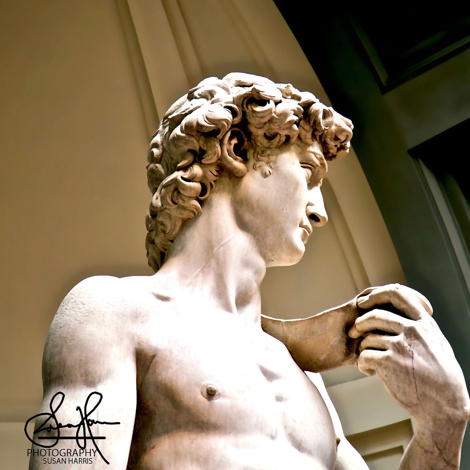 David by Michelangelo That I Took in Florence, Italy, Art Print ...