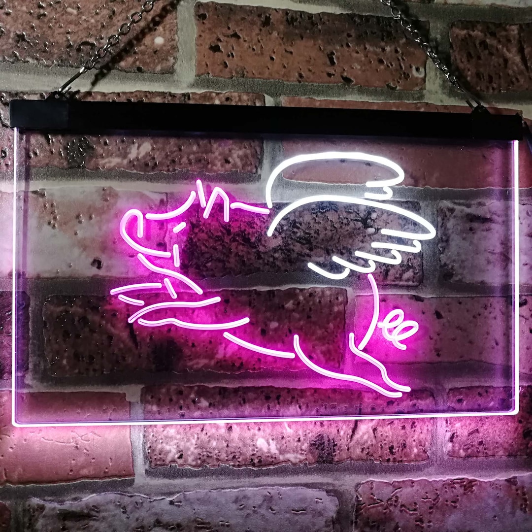 Flying Pig Room Decor Dual Color LED Neon Sign St6-i3110 - Etsy