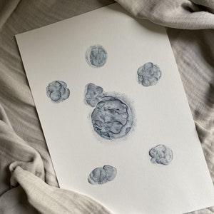 Embryo Art | Ivf Painting | Embaby Art | Hand-painted Nursery Decor ...