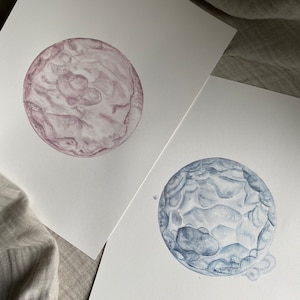 Embryo Art | Ivf Painting | Embaby Art | Hand-painted Nursery Decor ...