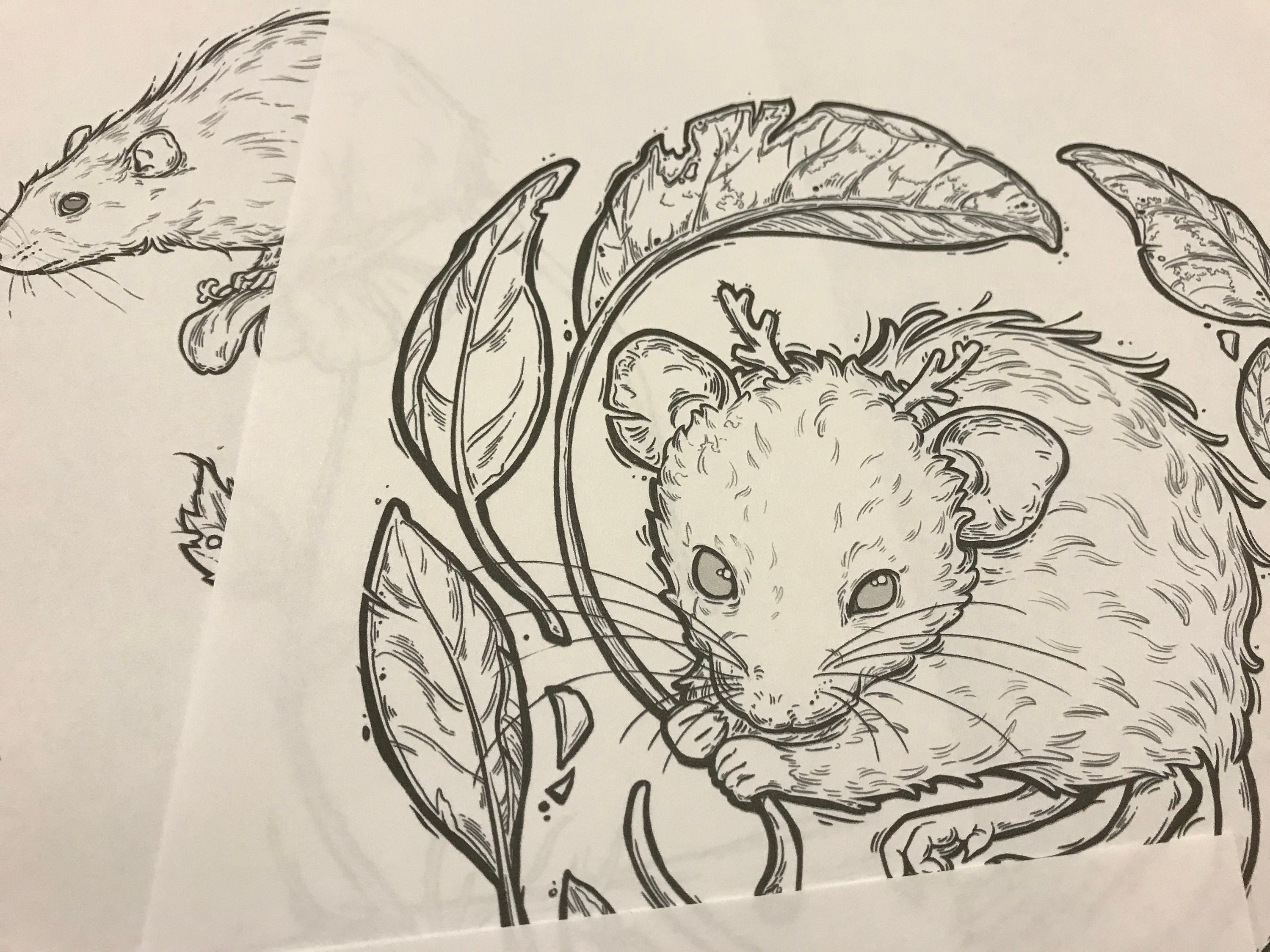 Printable Rat Coloring Book-8 Pages | Etsy
