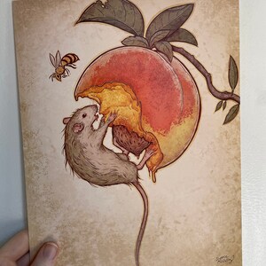 Rat With a Peach- Art Print - Etsy
