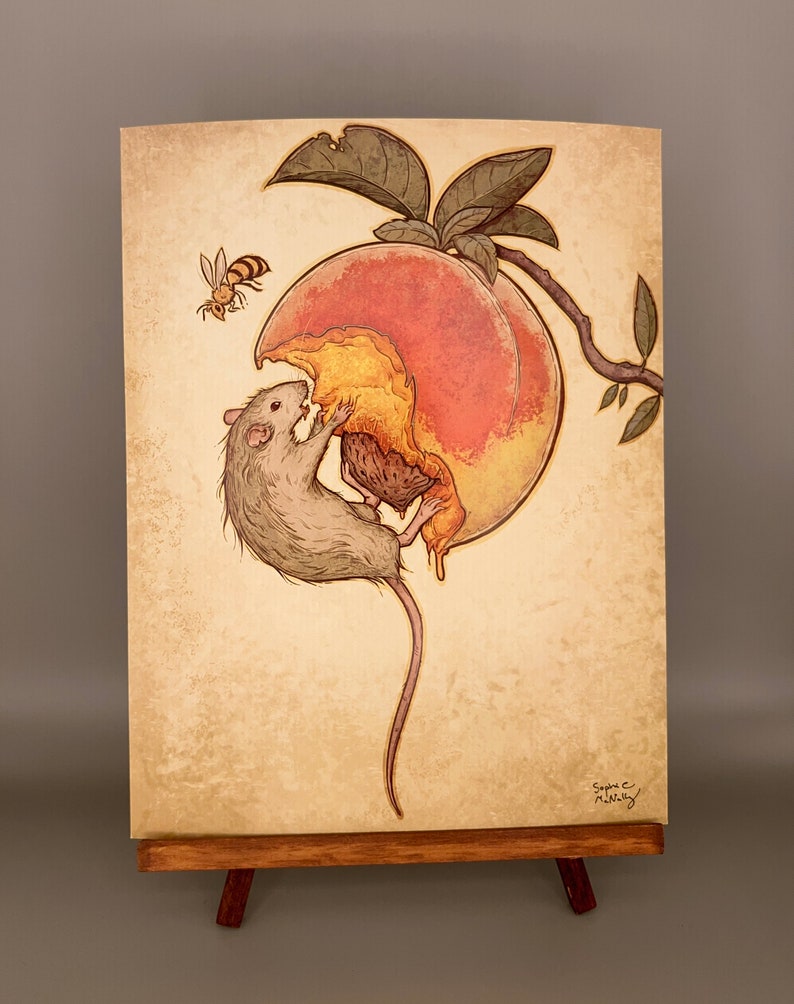 Rat With a Peach- Art Print - Etsy