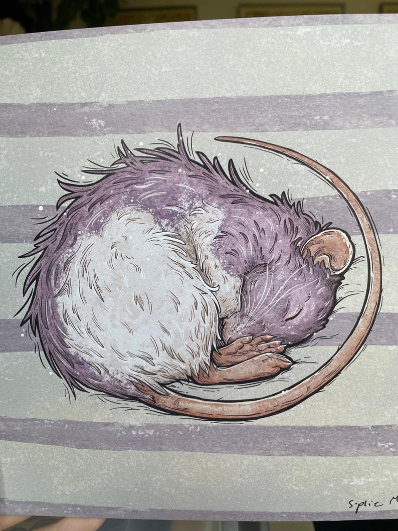 Sleeping Rat Art Print - Etsy