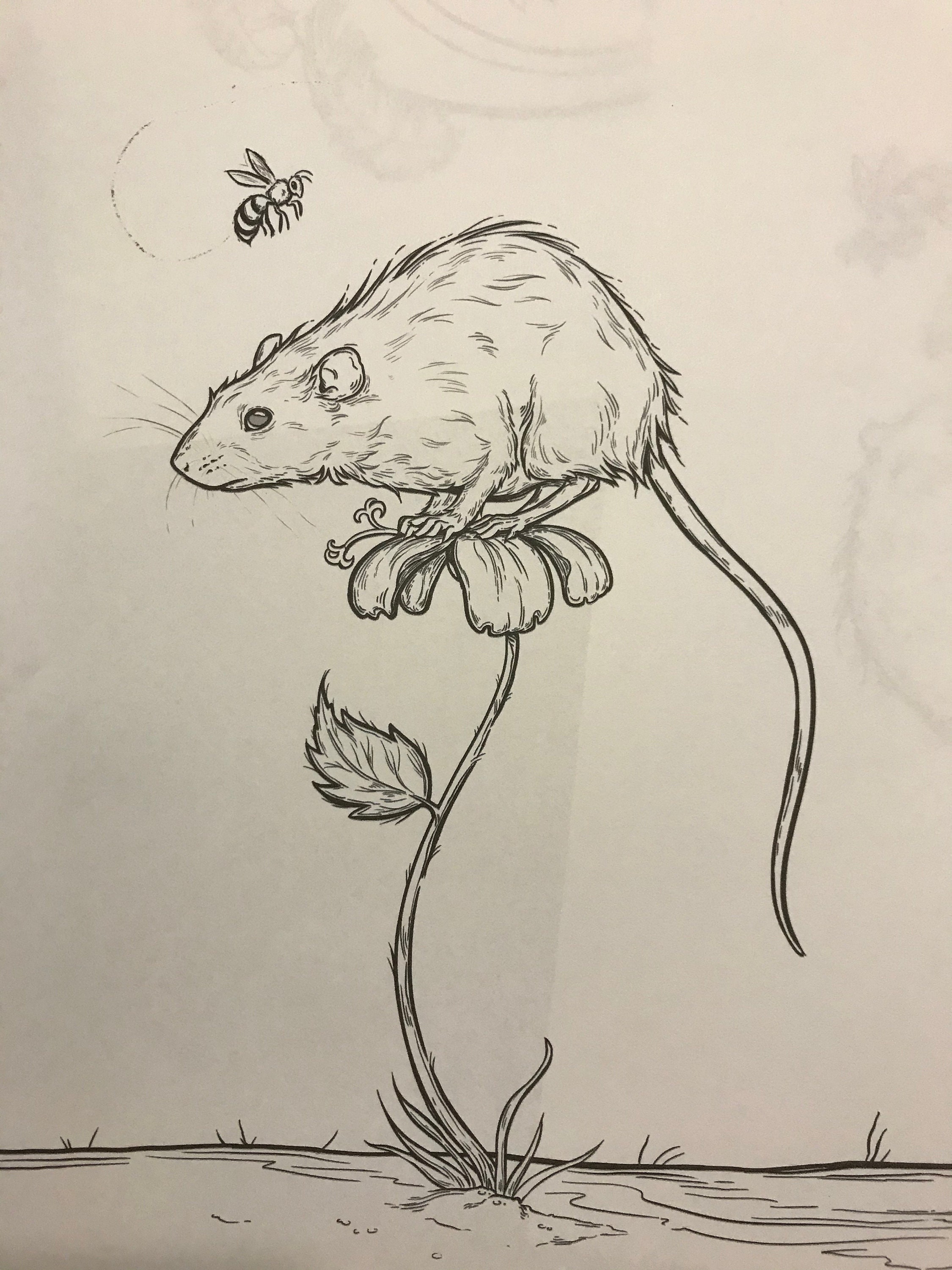 Printable Rat Coloring Book-8 Pages | Etsy