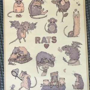 Rat Sticker Sheet-8.5"x11" - Etsy