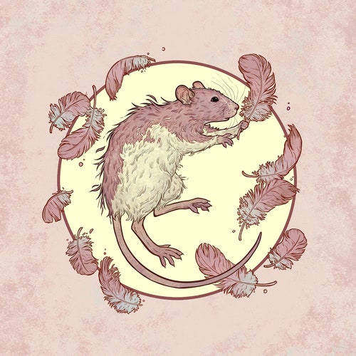 Sleeping Rat Art Print - Etsy