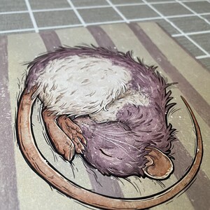 Sleeping Rat Art Print - Etsy