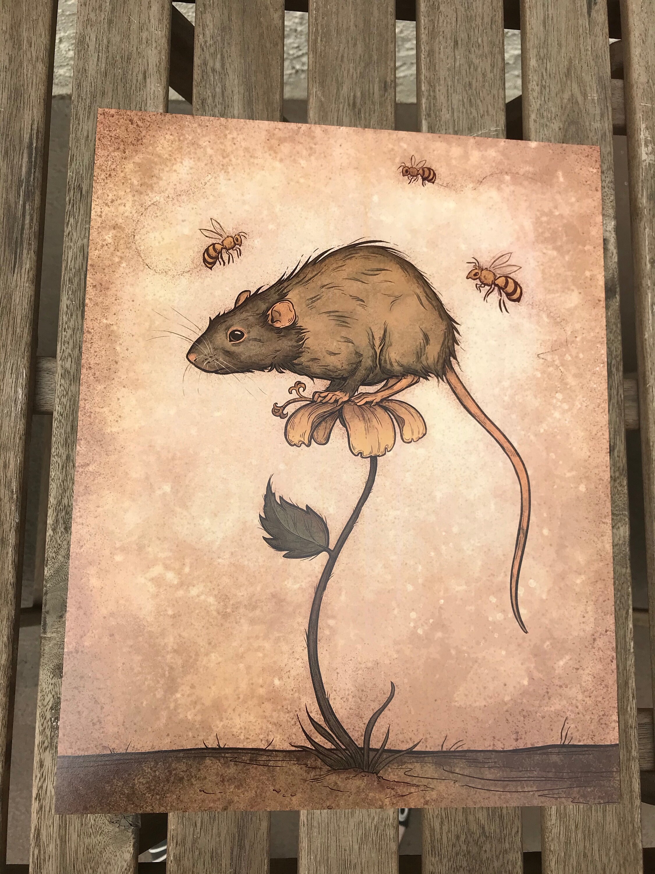 Rat Art Print Rat on a Flower | Etsy